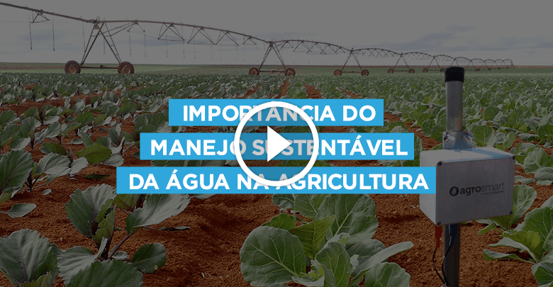 Manejo Da Água | A Importância Do Uso Sustentável Manejo Da Água | A Importância Do Uso Sustentável