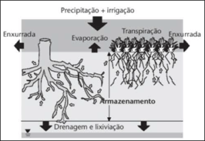 O que significa excesso e déficit hídrico na agricultura? - AgroSmart